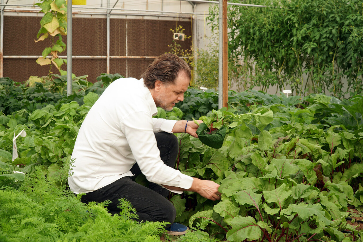 Dine-in - Healthy Farm Eatery